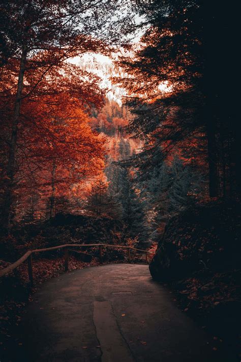 [200 ] Dark Fall Aesthetic Wallpapers