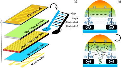 Surface Of Interdigitated Electrode Surface A Fabrication Of Download Scientific Diagram