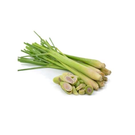 Citronella Oil Australia Natural