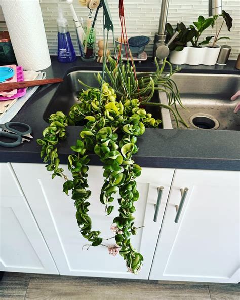 Sex And The Nso Rnarcissisticspouses