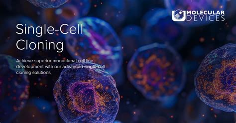 Single Cell Cloning Single Cell Isolation Molecular Devices