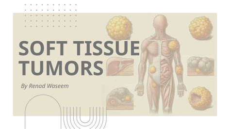 Soft Tissue Tumors Renad Waseem Pptx