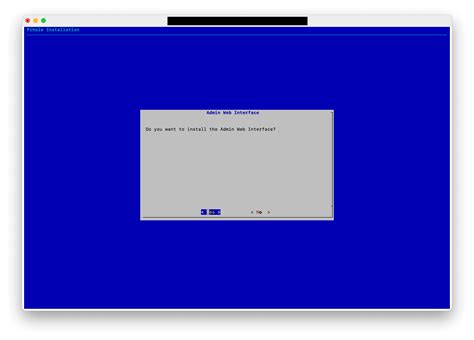 Setting Up Pi Hole With Eero On Starlink
