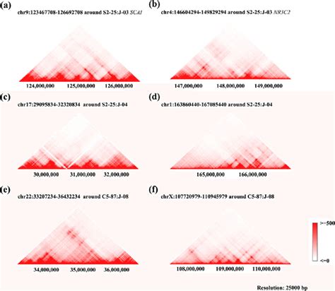 The Hi C Data Showing That There Are Intensive Chromosome Interactions