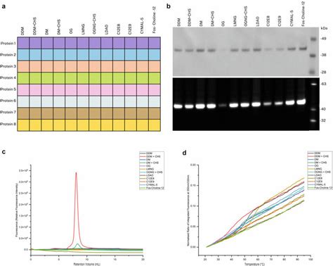 Analysis Of A Typical Detergent Screen A Detergent Screening Plate Download Scientific