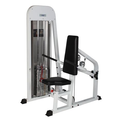 Tricep Dips Machine
