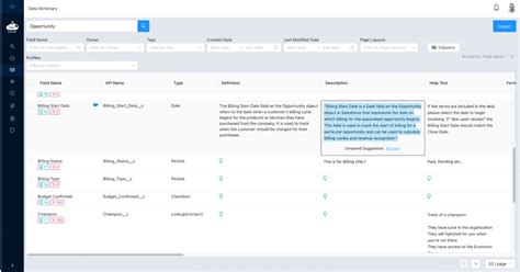 Data Dictionary For Salesforce Metadata Featuring Chatgpt