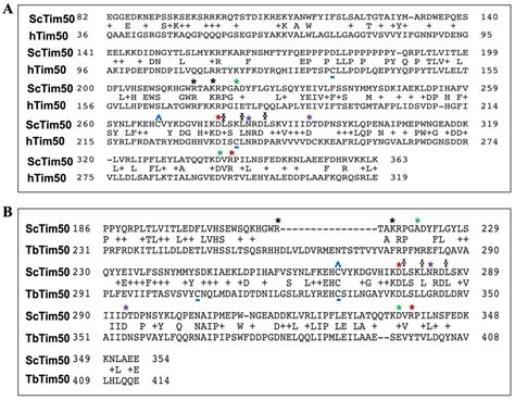 Correction Chaudhuri Et Al Diverse Functions Of Tim50 A Component Of
