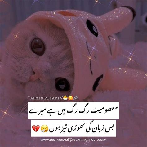 Pin Di Arif Pasha Su Savera