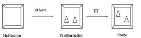 A The Novel Location Recognition Test Protocol Was Carried Out Over Download Scientific