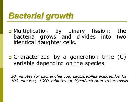 Bacterial Culture In Laboratory Bacterial Culture In Laboratory