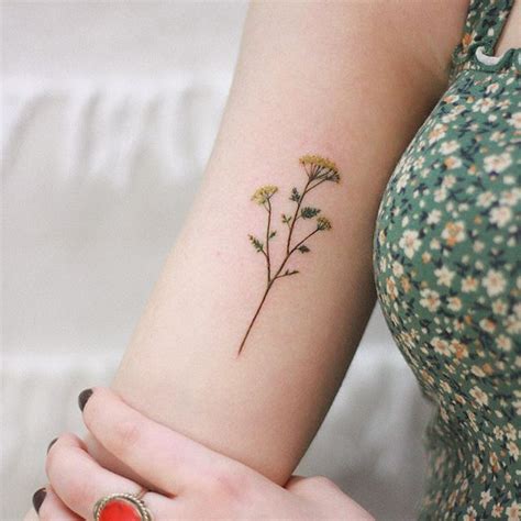 Queen Annes Lace Tattoo