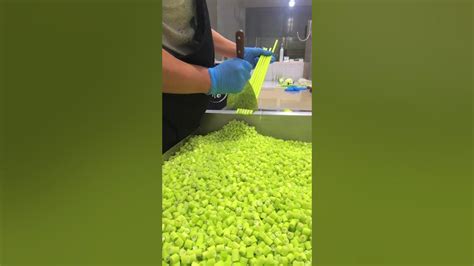 Candy Chopping：densely Packed Rhubarb Candy Youtube