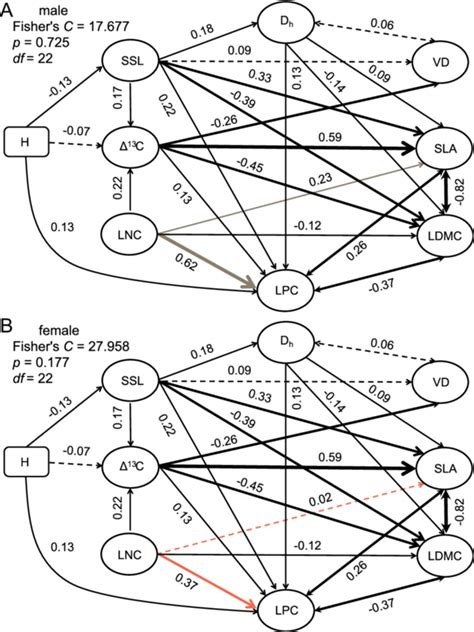 American Journal Of Botany