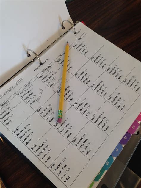 Setting Up A An Easy To Use Program Binder The Autism Helper