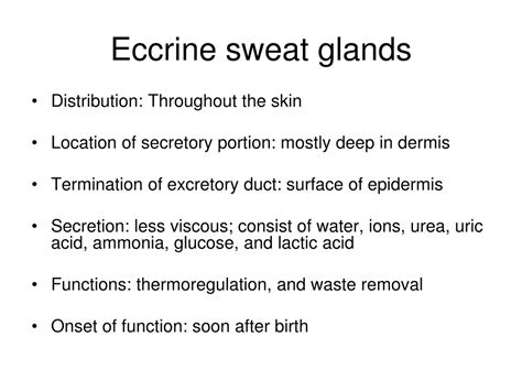 Ppt The Integumentary System Powerpoint Presentation Free Download