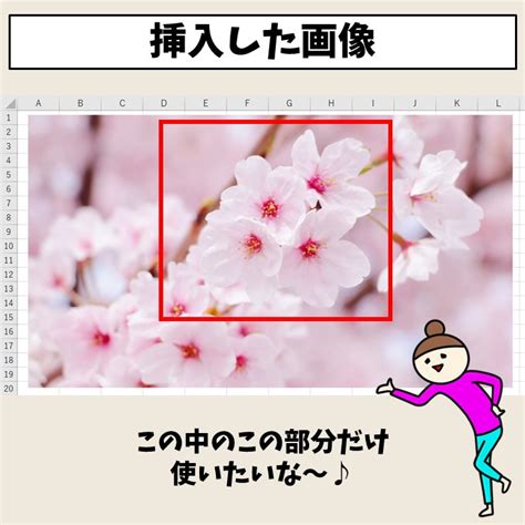 Excelエクセルで画像を挿入する方法