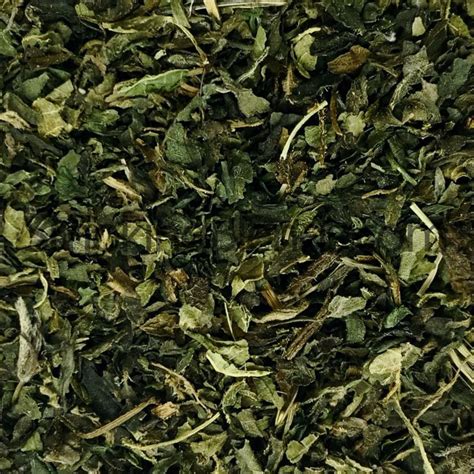 Blue Lotus Leaf Nymphaea Caerulea