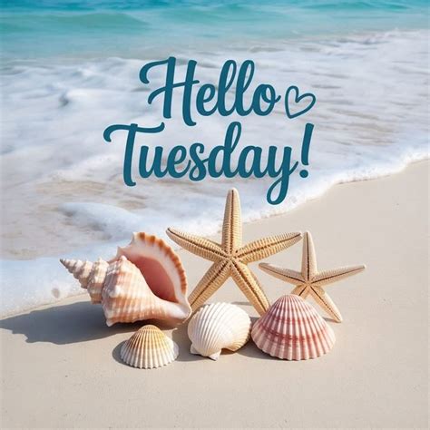 Pin By Barbara On Tuesday Cute Morning Quotes Hello Tuesday Tuesday