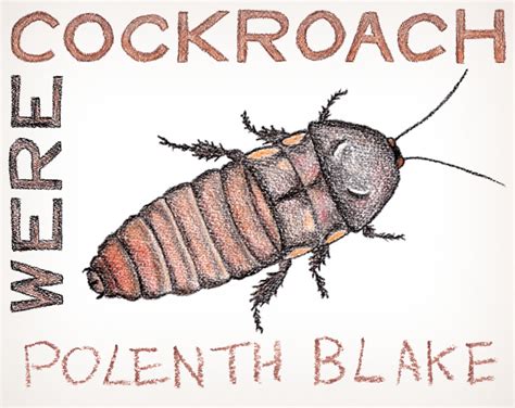 Werecockroach By Polenth Blake