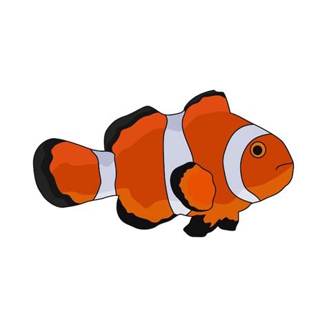 Vectores De Pez Payaso Acuario Descarga Vectores Gratis De Gran Calidad De Freepik Freepik