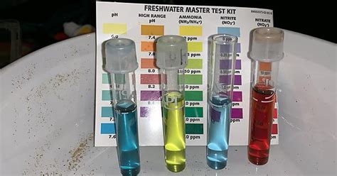Snail Parameters I Know The Nitrate Is Bad Im Working On It Album On Imgur
