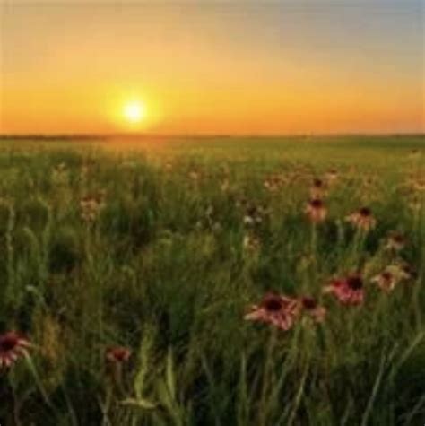 William W Leeper 1945 2025 Lebtown