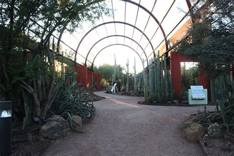 Super Bowl Xlix Travel Guide What To Eat See And Do In Phoenix