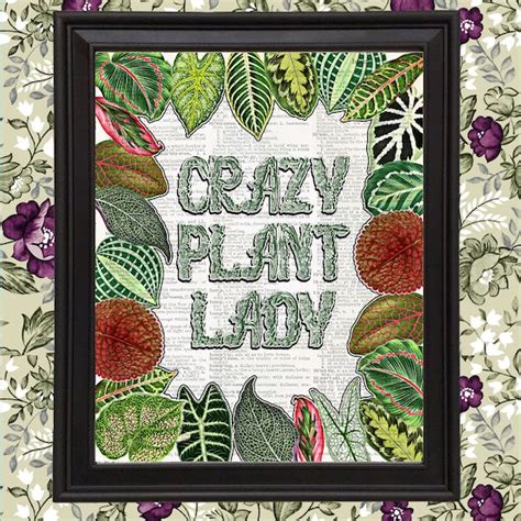 Calathea Leaf Book Etsy