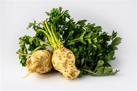 Celer Koren Glavica 500g Zadruga Market