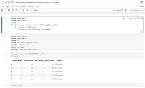 Prince Narula On Linkedin Datascience Machinelearning Internshipexperience Dataanalysis