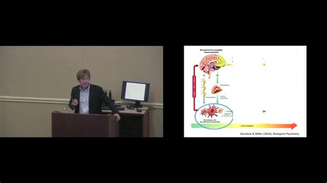 Dr Robin Nusslock Inflamed Brain And Neuroimmune Model Of Depression Youtube