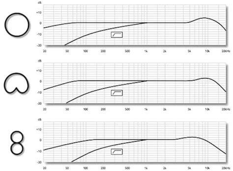 Complete Guide To Microphone Frequency Response With Mic Examples My New Microphone