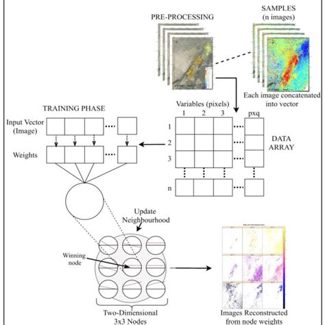 The Som Algorithm As Used In Our Framework Download Scientific Diagram