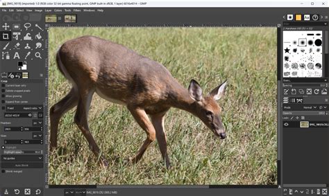 Gimp Review A Free Full Featured Photoshop Replacement Pcmag