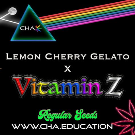 Lemon Cherry Gelato X Vitamin Z Cannabis Horticultural Association