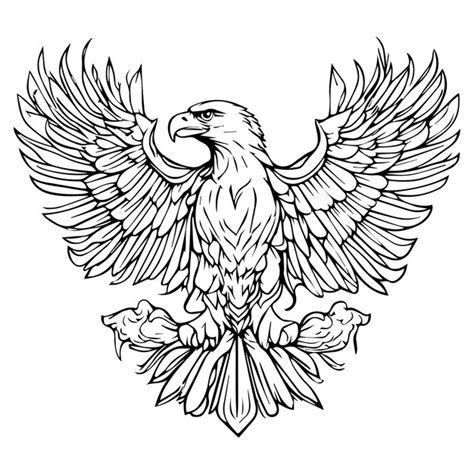 How Draw Eagles Vectors And Illustrations For Free Download