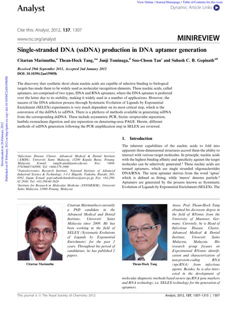Pdf Single Stranded Dna Ssdna Production In Dna Aptamer Generation