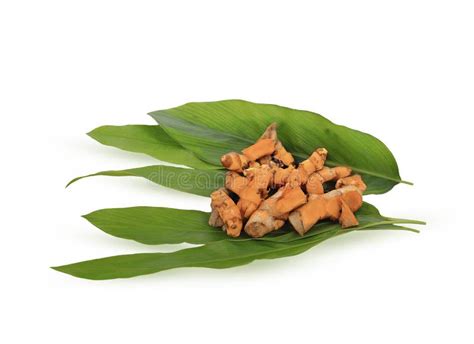 Tumeric Turmeric Root With Cut Slice And Green Leaf Isolated On