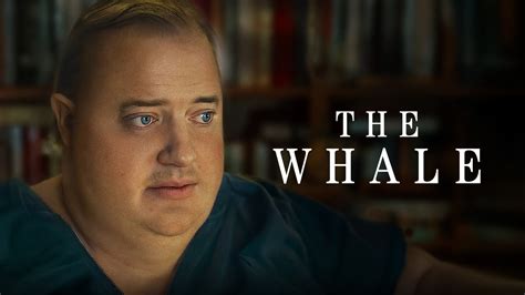 فیلم نهنگ تماشای آنلاین در شیدا