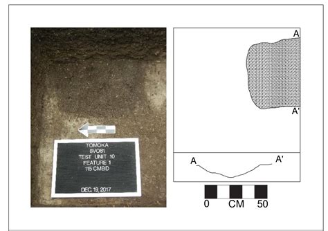 11 Plan Photograph And Plan And Cross Section Map Of