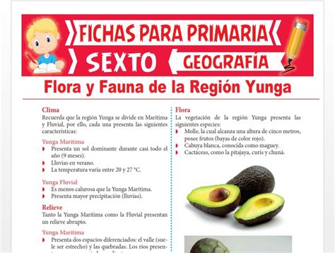 Flora Y Fauna De La Región Yunga Para Sexto Grado De Primaria