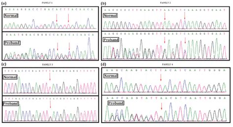 Mutation Screening Mutational Analysis Next Generation Sequencing And Download Scientific