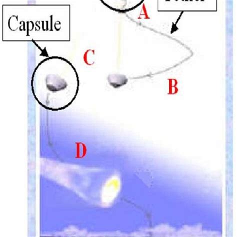 PDF Design And Testing Of A Space Mechanism For Tether Deployment
