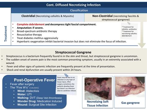 L4 Surgical Infections And Antibiotics Pdf