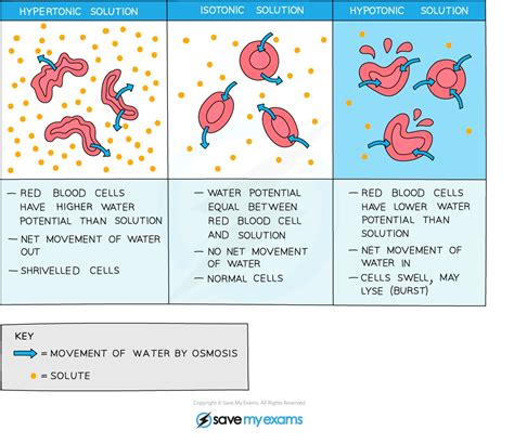 Tonicity College Board Ap® Biology Study Guides