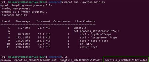 Introduction To Memory Profiling In Python Ai Digitalnews