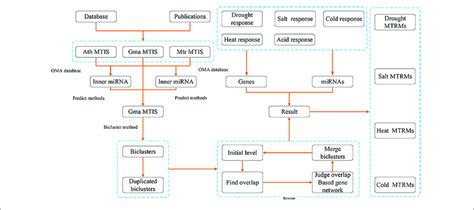 Flowchart Of The Authors Research Method Download Scientific Diagram
