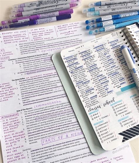 Messy Notes And Planner For School