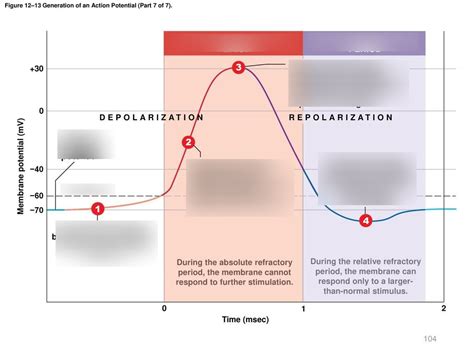 Bsc 2085 Lecture Missing Info Diagram Quizlet
